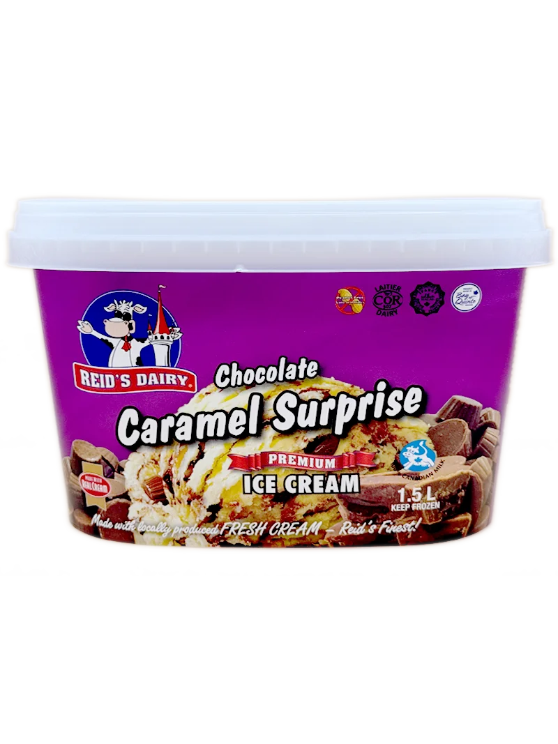 Chocolate Caramel Surprise Ice Cream | Reid’s Dairy